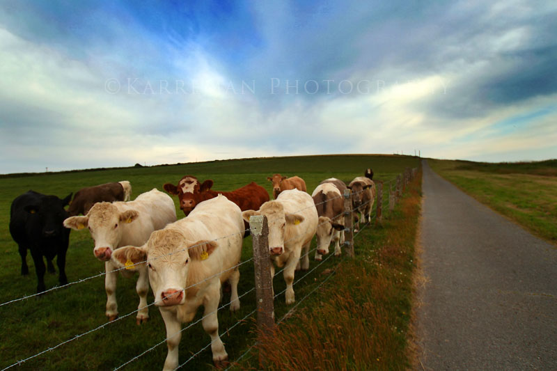 Views of Ireland - Irish Landscapes and Scenes Photography and Prints
